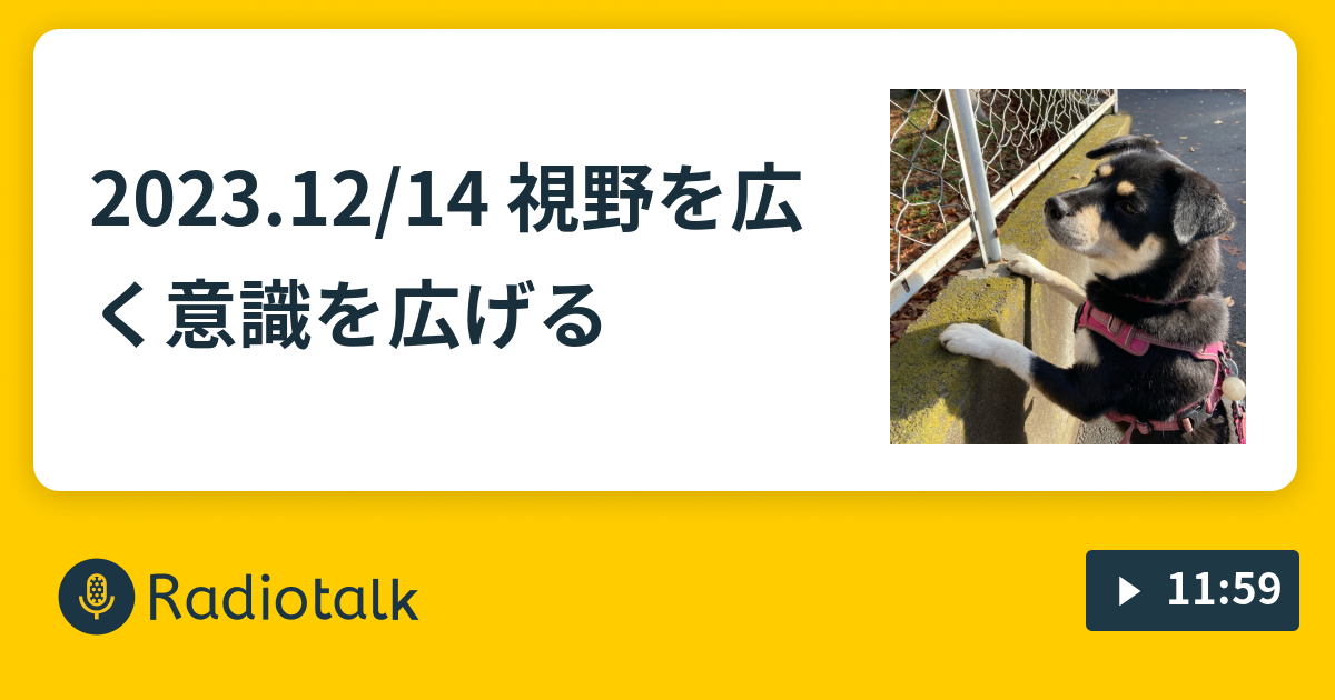 2023.12/14 視野を広く意識を広げる - みえるラジオ - Radiotalk(ラジオトーク)