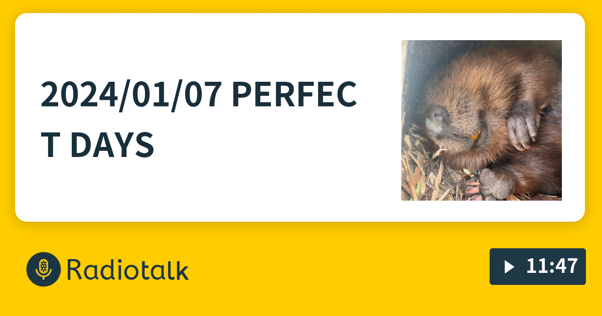 2024/01/07 PERFECT DAYS - DJビーバーのだだもれラジオ - Radiotalk(ラジオトーク)