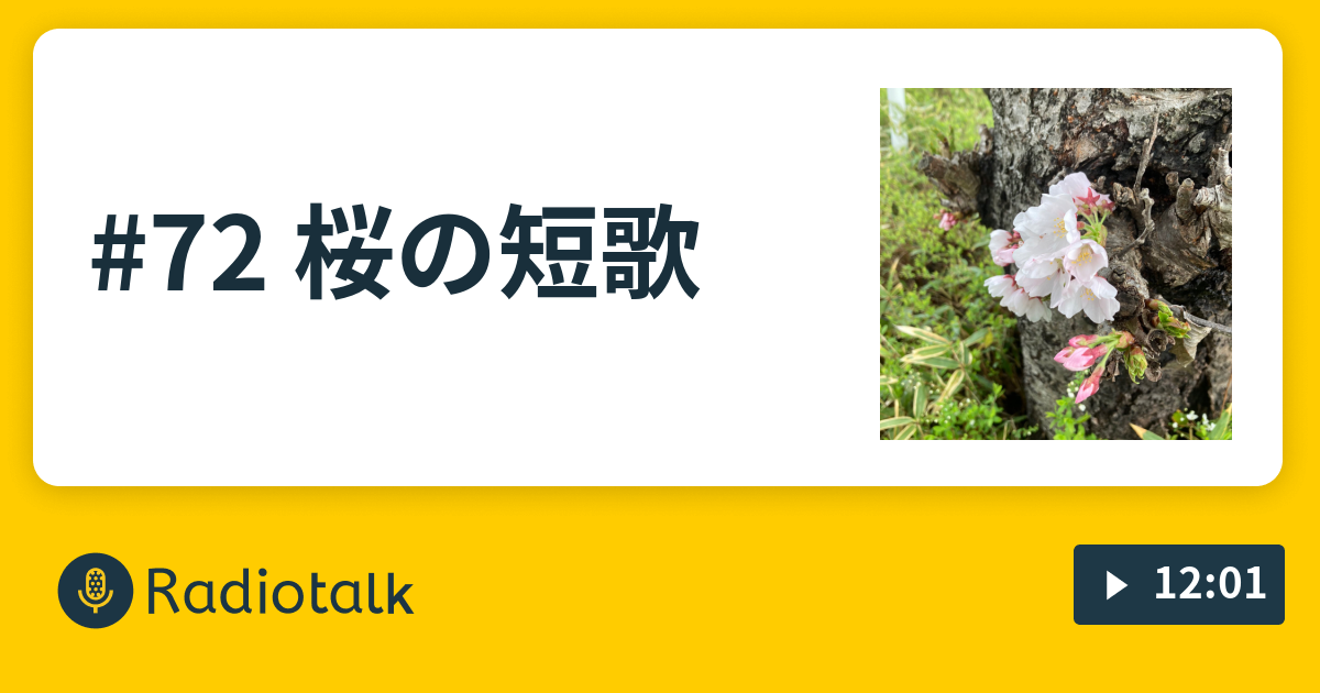 #72 桜の短歌 - これはムーミン同好会ではありません - Radiotalk(ラジオトーク)