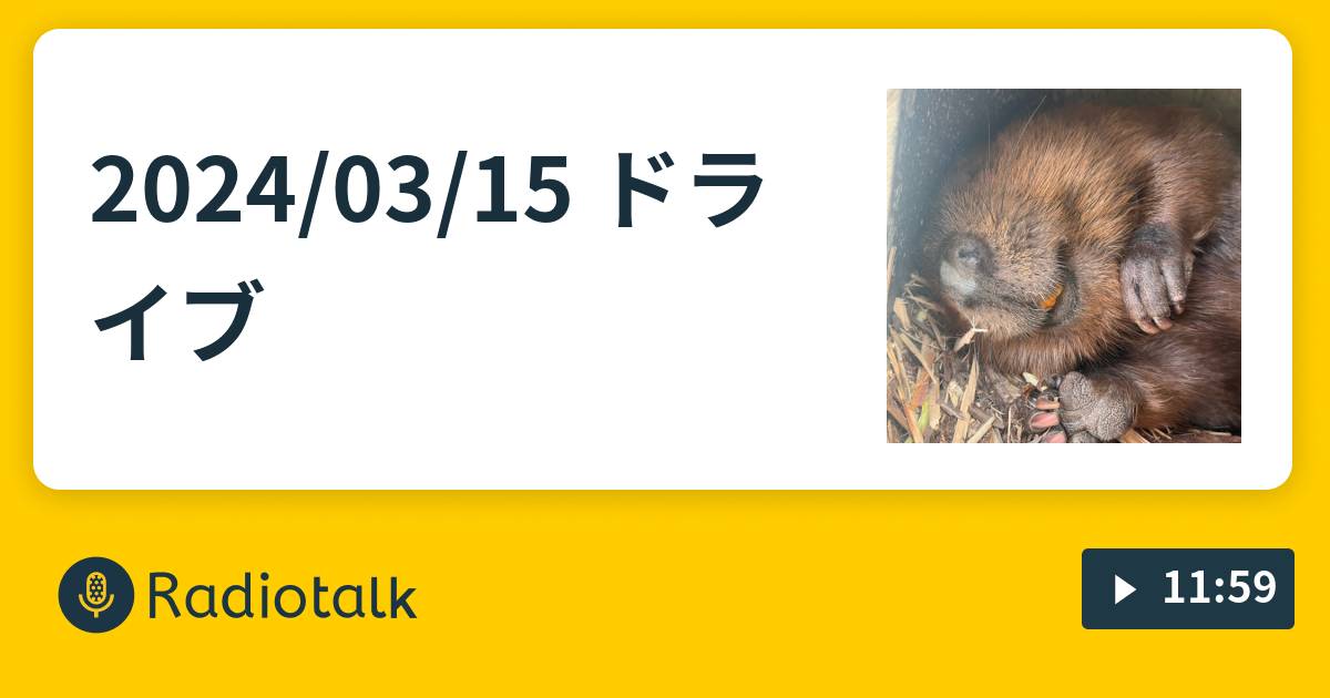 2024/03/15 ドライブ - DJビーバーのだだもれラジオ - Radiotalk(ラジオトーク)