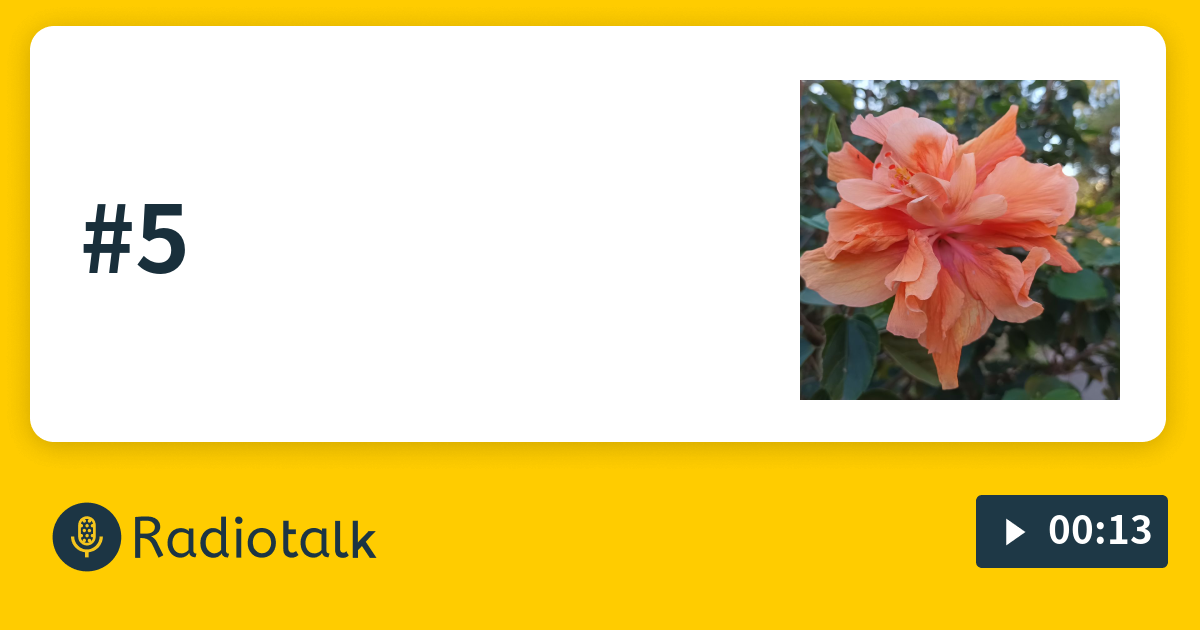 #5 - STの部屋 - Radiotalk(ラジオトーク)