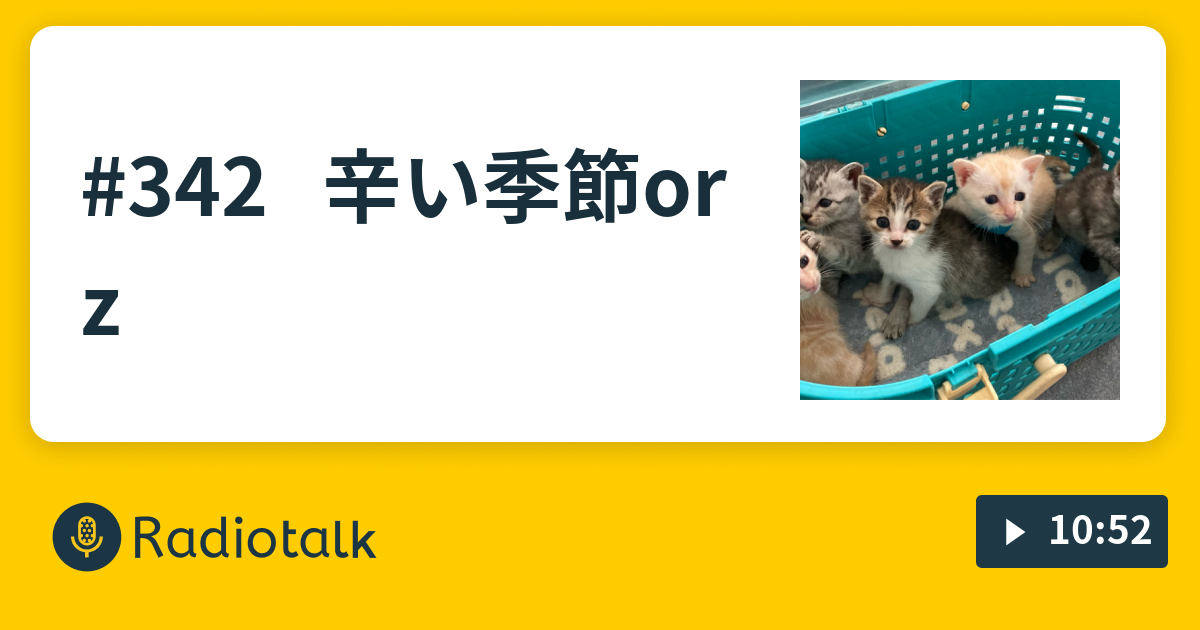 #342 辛い季節…orz - 猫のラジオ 365日目が最終回！？ - Radiotalk(ラジオトーク)