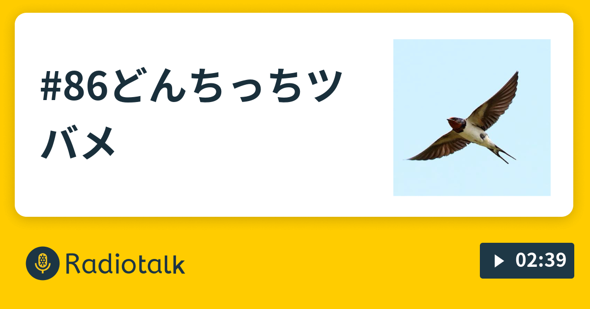 #86どんちっちツバメ - どんちんラジオ - Radiotalk(ラジオトーク)