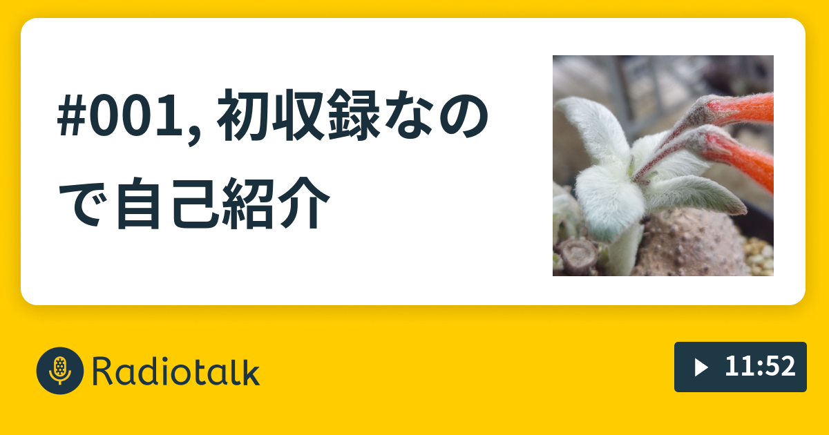 #001, 初収録なので自己紹介 - みほとけちゃんタイム - Radiotalk(ラジオトーク)