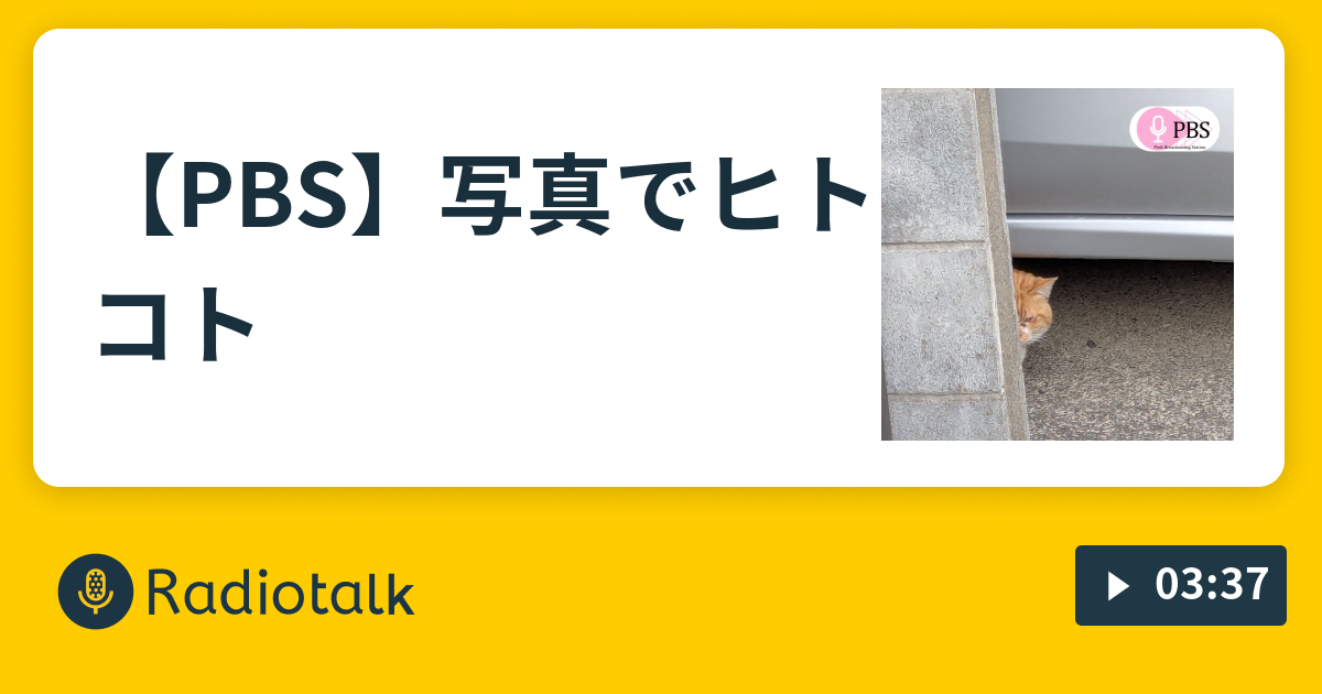 【PBS📸】写真でヒトコト① - まーこ🍉 のワガママ加速中🚀 - Radiotalk(ラジオトーク)