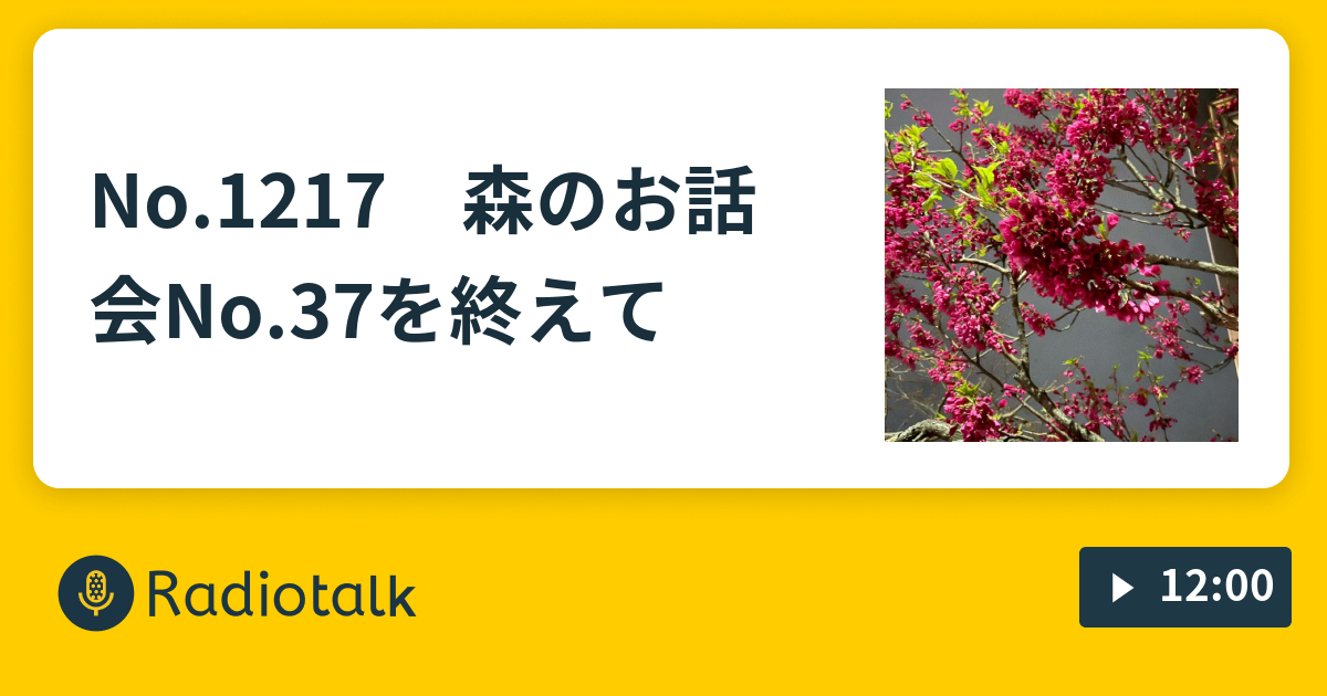 No.1217 森のお話会No.37を終えて🌸 - hashu radio - Radiotalk(ラジオトーク)