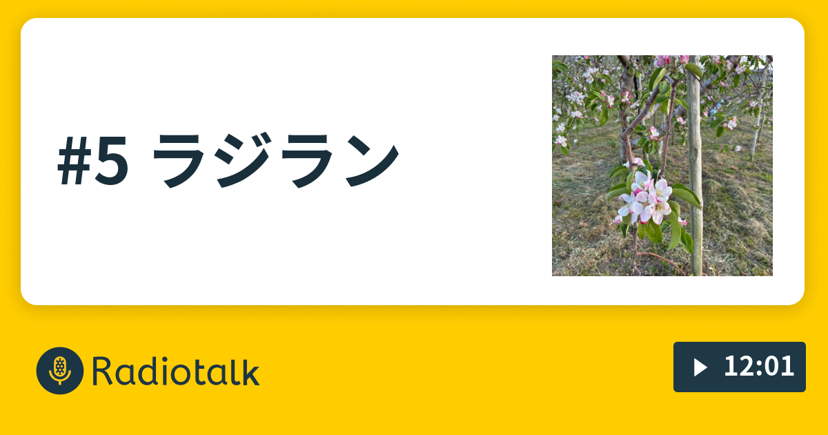 #5 ラジラン - カトリﾝ 🍎 の番組 - Radiotalk(ラジオトーク)