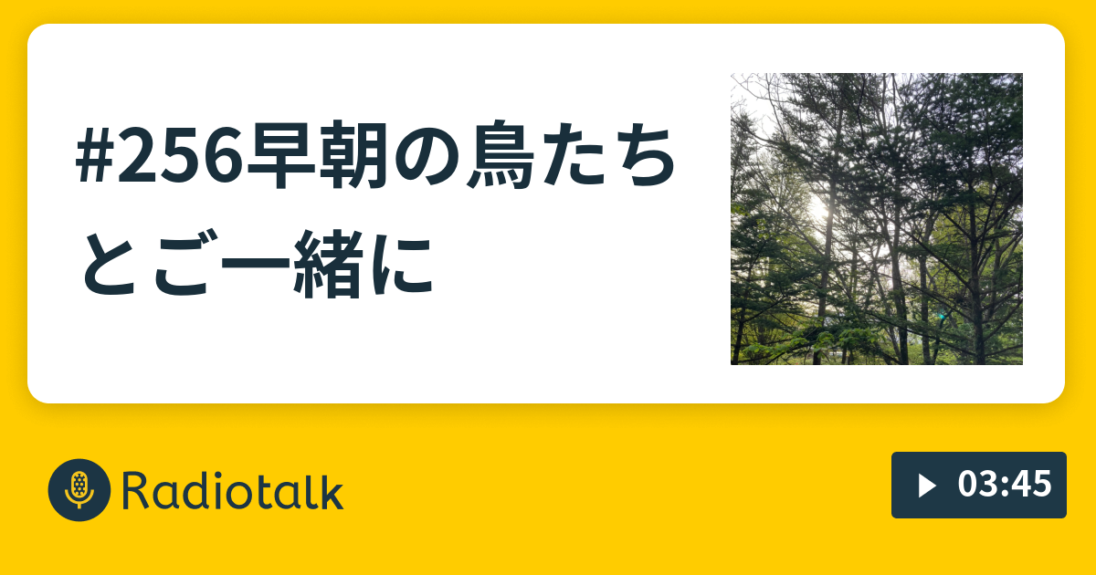 #256早朝の鳥たちとご一緒に 🪿🦆 - B面パラダイス！ - Radiotalk(ラジオトーク)