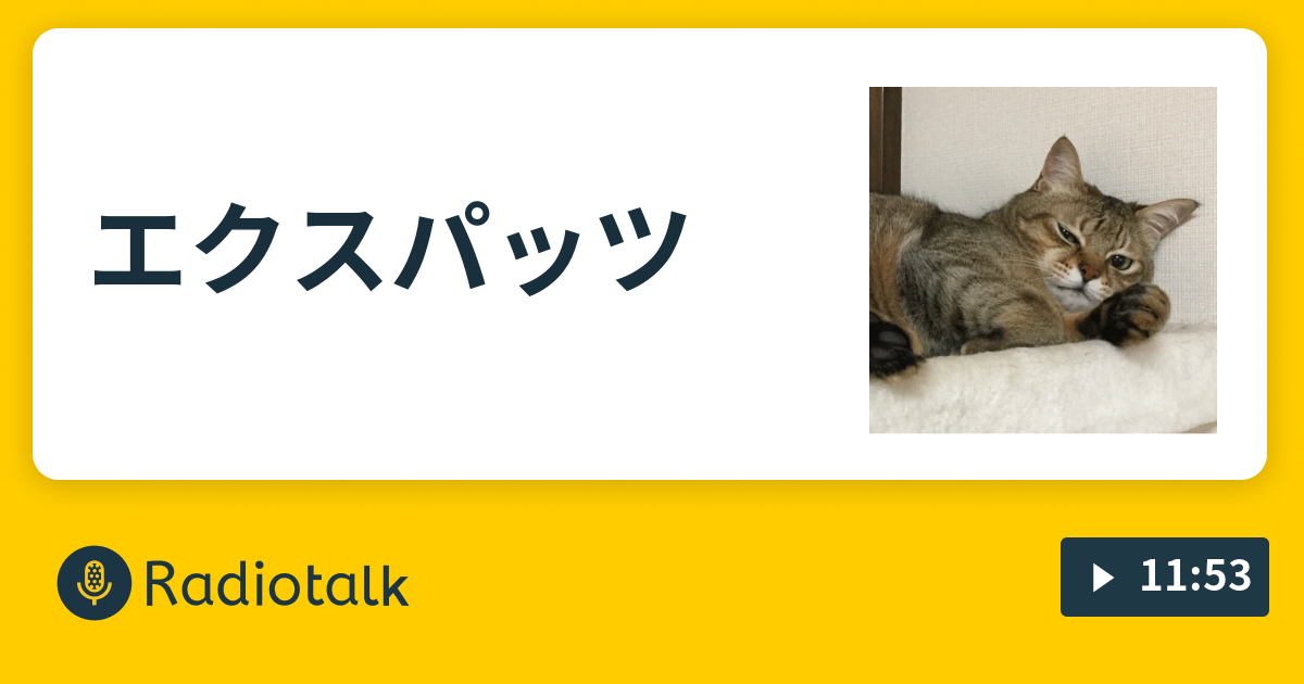 エクスパッツ - あさみの視聴履歴 - Radiotalk(ラジオトーク)