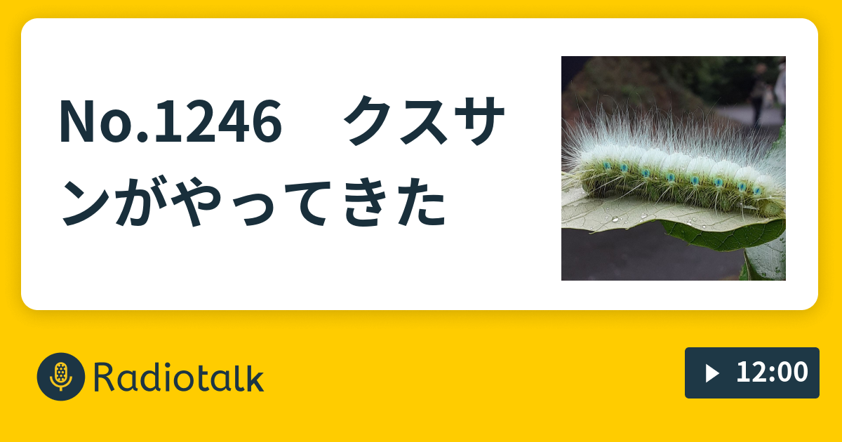 No.1246 クスサンがやってきた💕🐛💕 - hashu radio - Radiotalk(ラジオトーク)