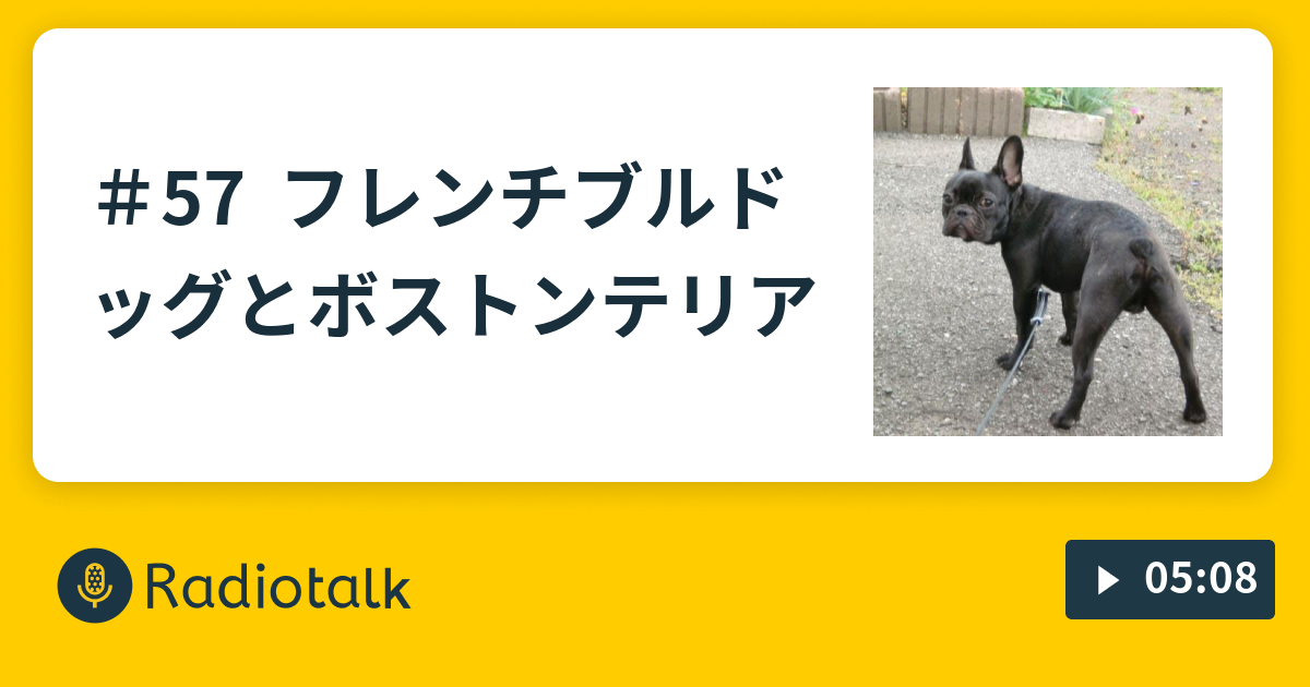 ＃57 フレンチブルドッグとボストンテリア - Leonのつぶやき！ - Radiotalk(ラジオトーク)