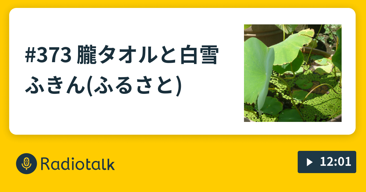 #373 朧タオルと白雪ふきん(ふるさと) - 近所の森さん・TakeFive - Radiotalk(ラジオトーク)