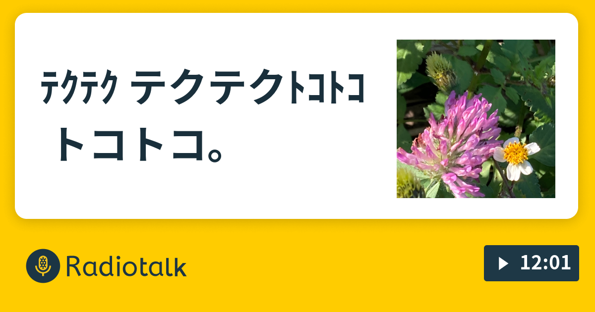 ﾃｸﾃｸ テクテクﾄｺﾄｺ トコトコ🚶‍♀️𖤣𖥧𖥣｡𓂃𓂂🟩🟩🟦🟦🟦 - DJぽてと🍟🌻Radio🎙 - Radiotalk(ラジオトーク)