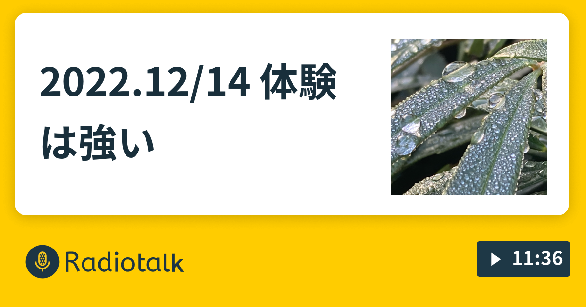 2022.12/14 体験は強い - みえるラジオ - Radiotalk(ラジオトーク)