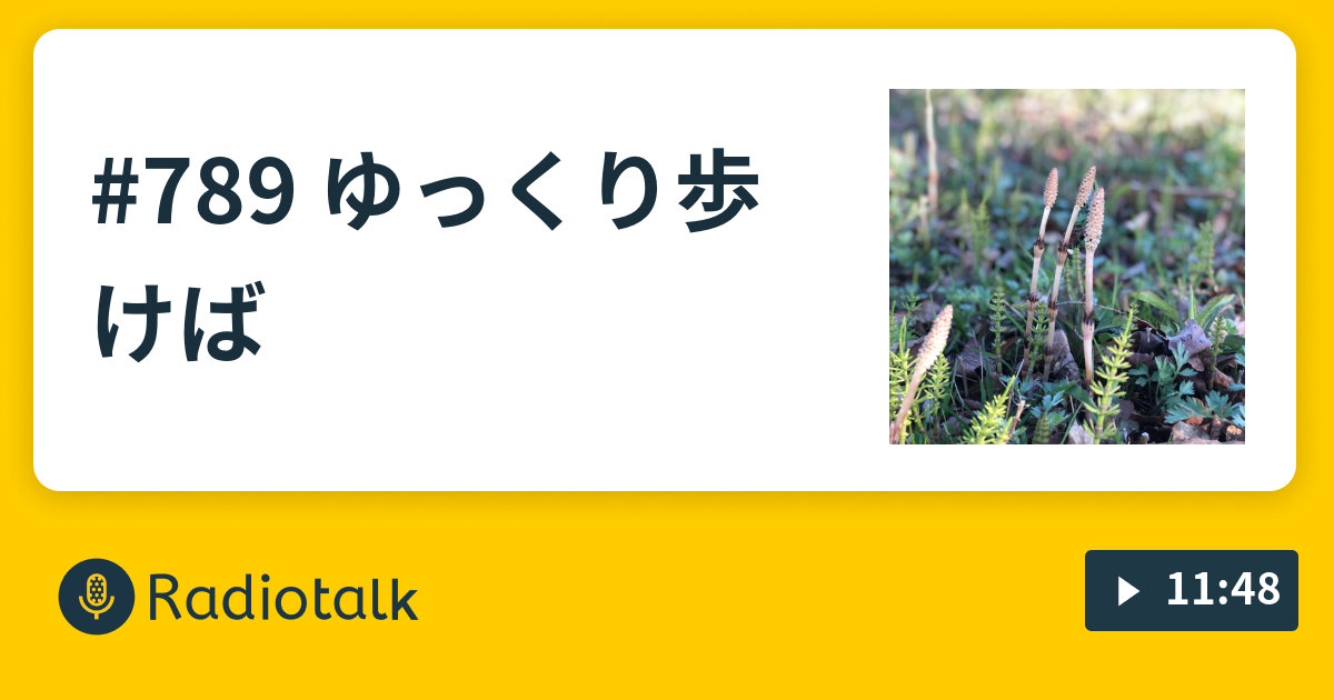 #789 ゆっくり歩けば… - 屋根裏jet - Radiotalk(ラジオトーク)